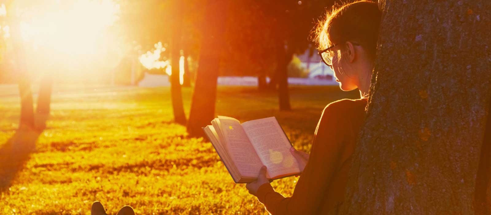 INS Valores Puesto de Bolsa S.A.